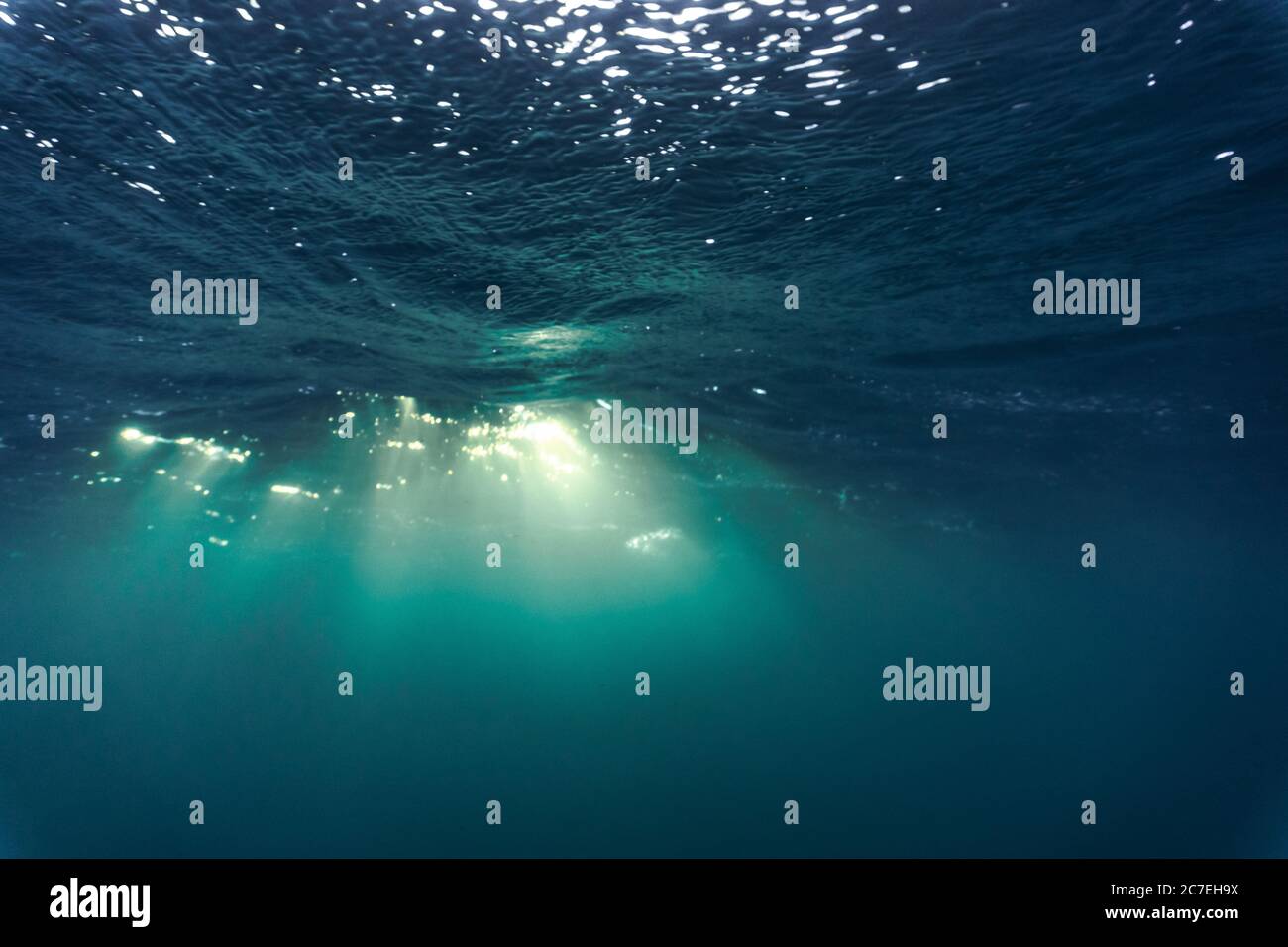 Rays of light shining through the surface of the atlantic ocean, into ...
