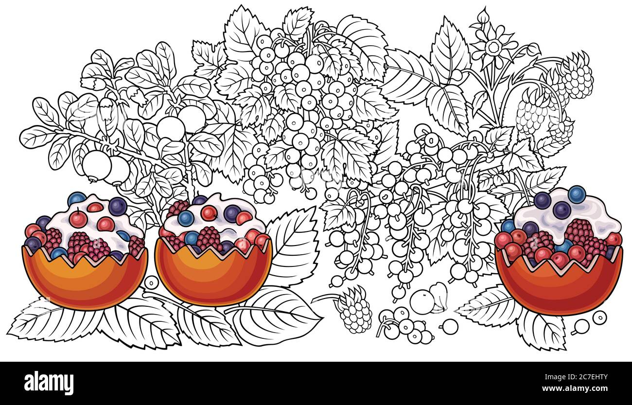 Sweets, berries, fruits hand drawn illustration Stock Vector Image ...