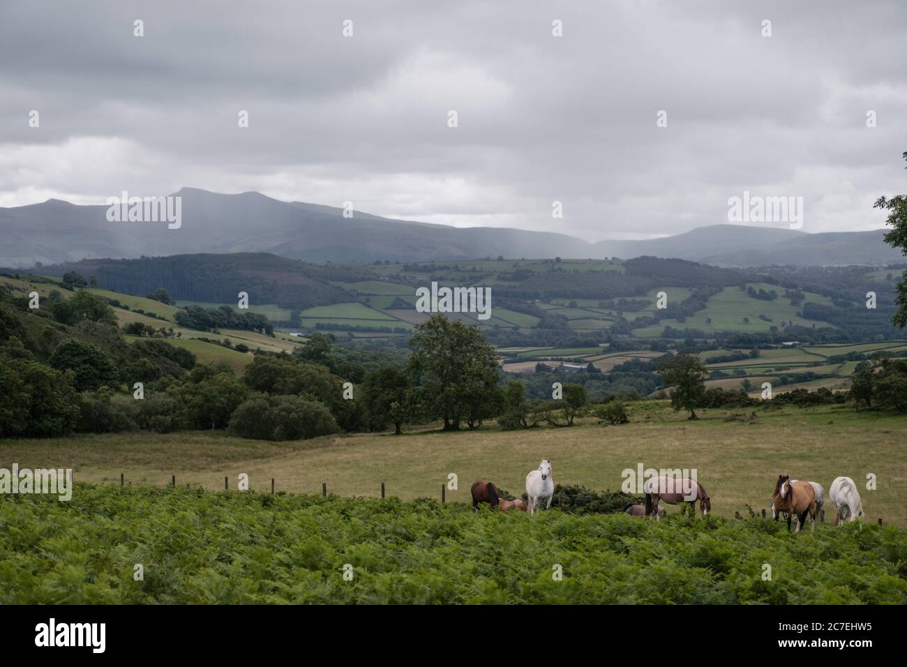 Brecon Beacons landscape Stock Photo - Alamy