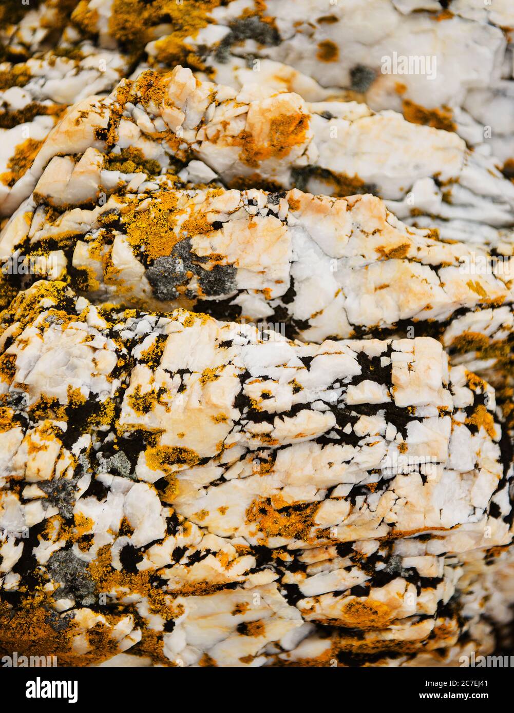 Rocks covered in yellow lichen, Tierra del Fuego National Park, Ushuaia ...