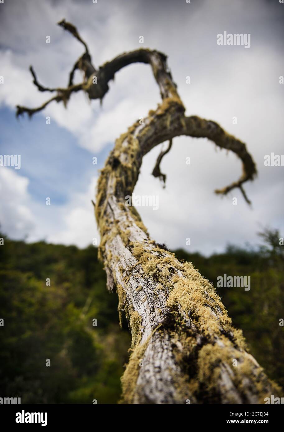 Argentina tierra hi-res stock photography and images - Alamy