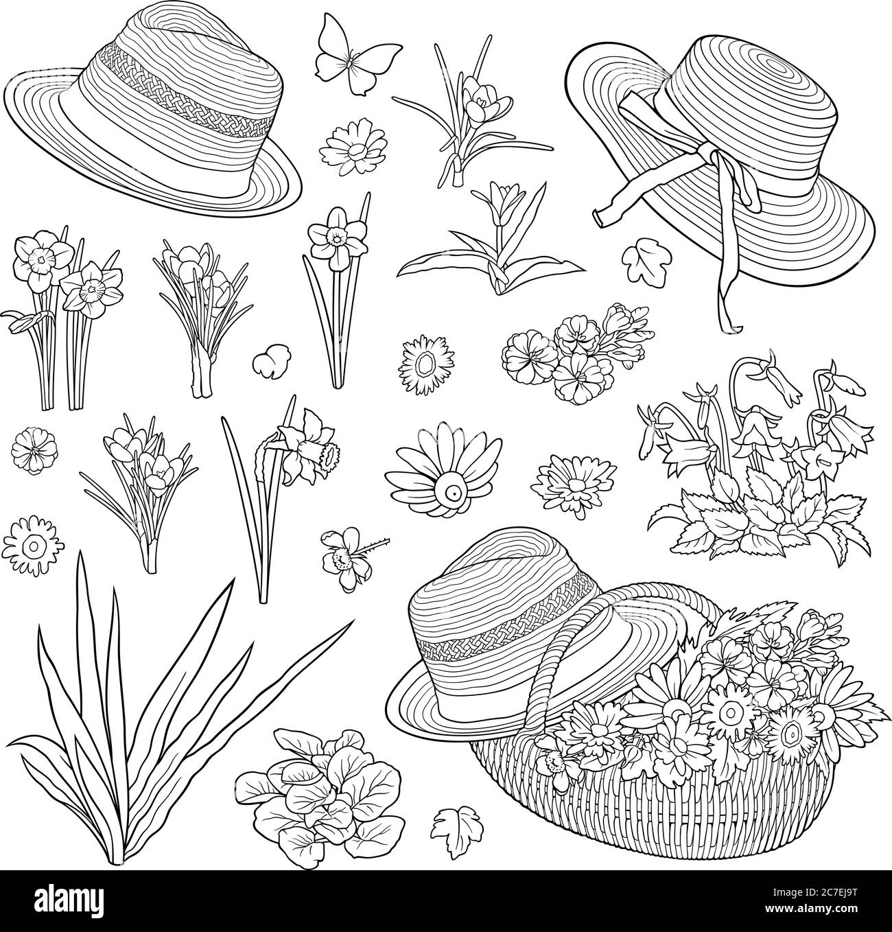 Set of garden cartoon hand drawn elements Stock Vector Image & Art - Alamy