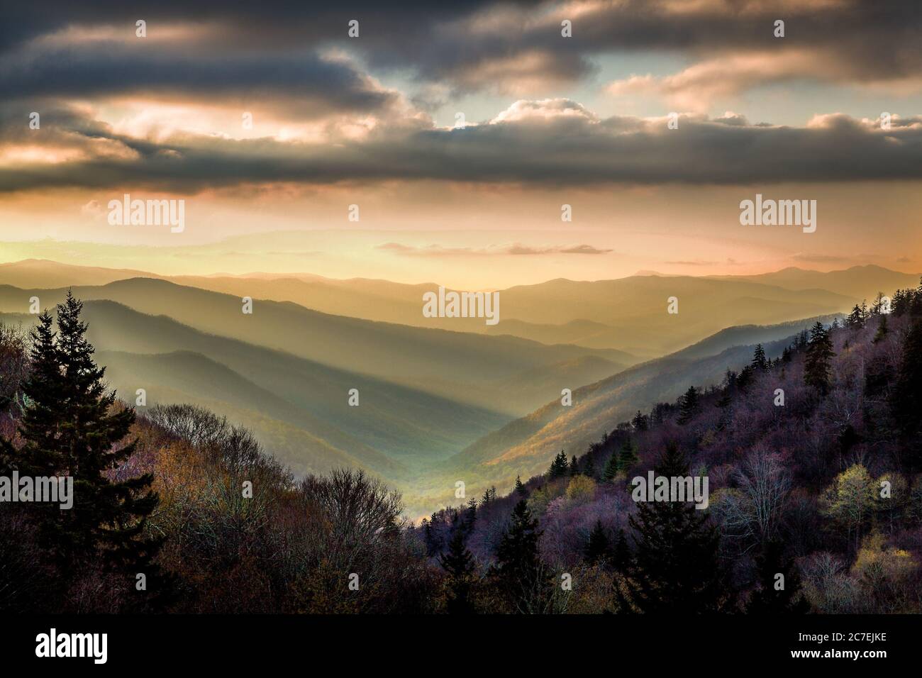 Smoley hi-res stock photography and images - Alamy