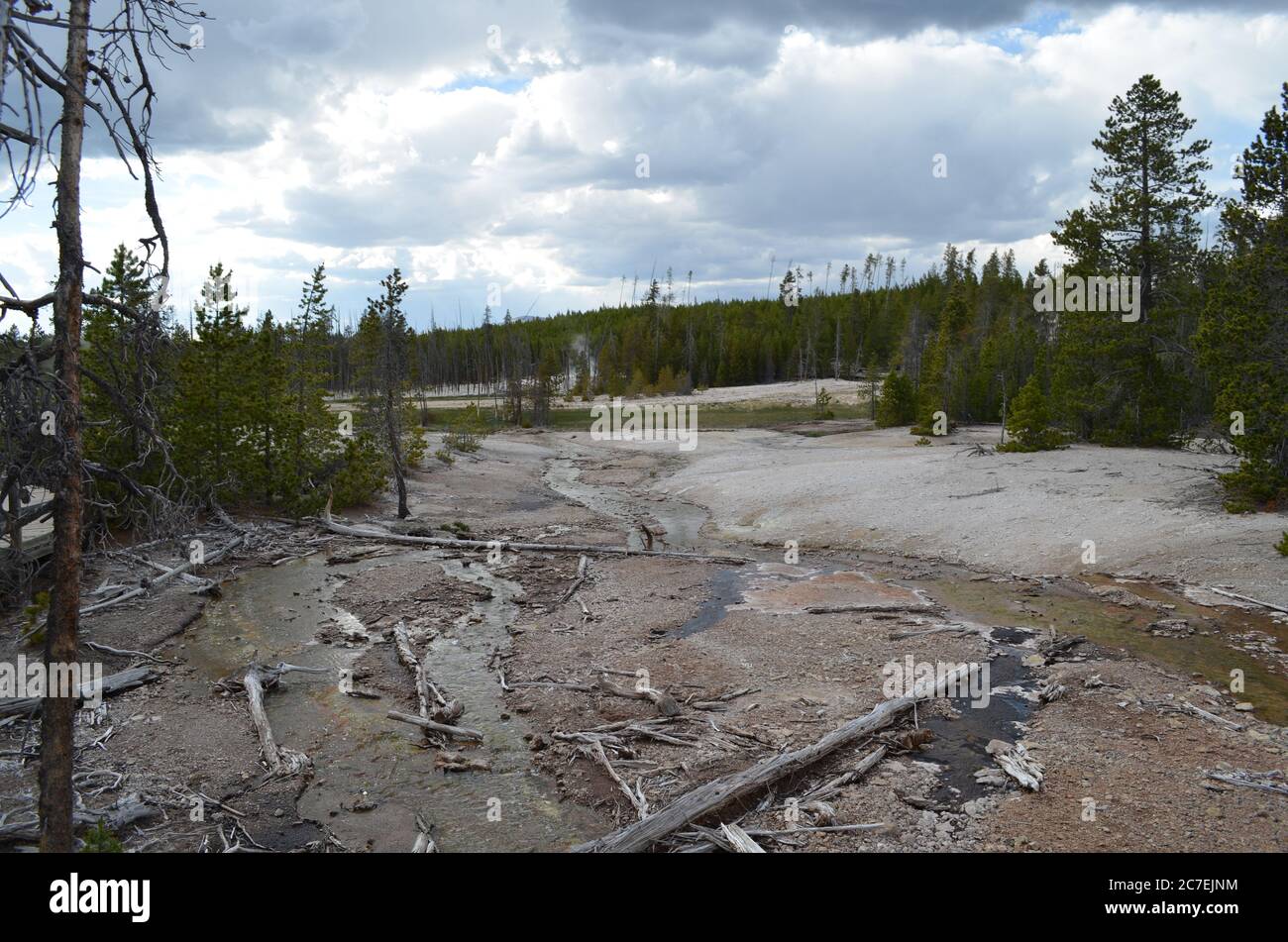 Spring in Yellowstone National Park: Looking Downstream Tantalus Creek ...