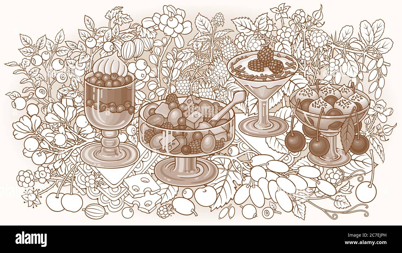 Sea buckthorn berries illustration Stock Vector Images - Alamy