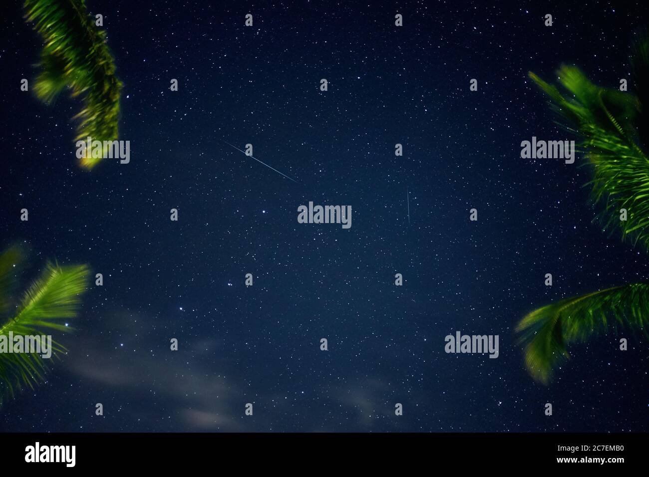 Tropical Beach Night Stars