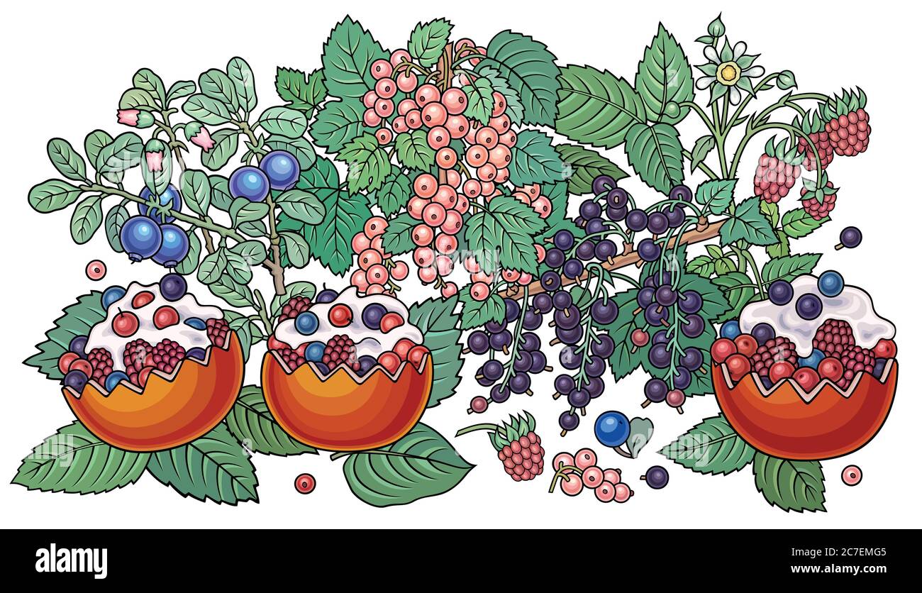 Sweets, berries, fruits hand drawn illustration Stock Vector Image ...