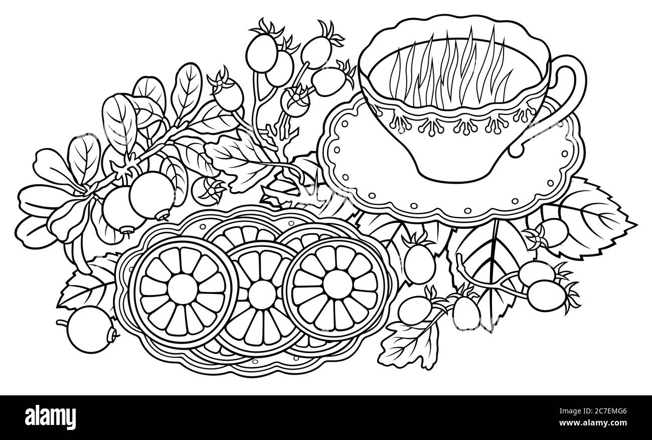 Tea, berries, fruits hand drawn illustration Stock Vector Image & Art ...