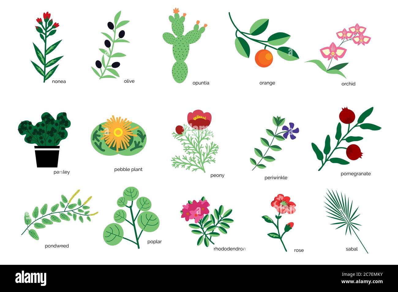 Isolated plants simple icons collection Stock Vector Image & Art - Alamy