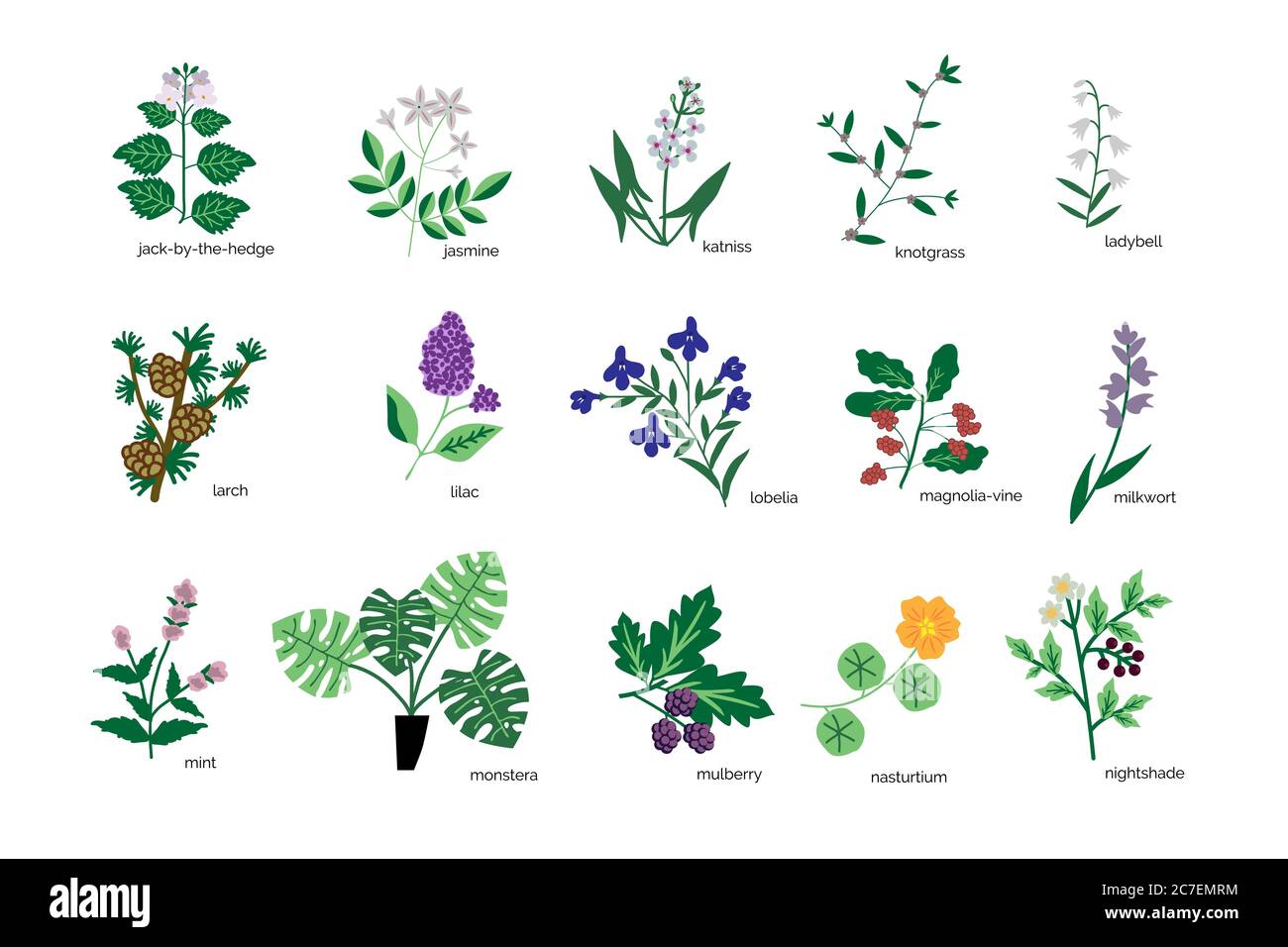 Isolated plants simple icons collection Stock Vector Image & Art - Alamy
