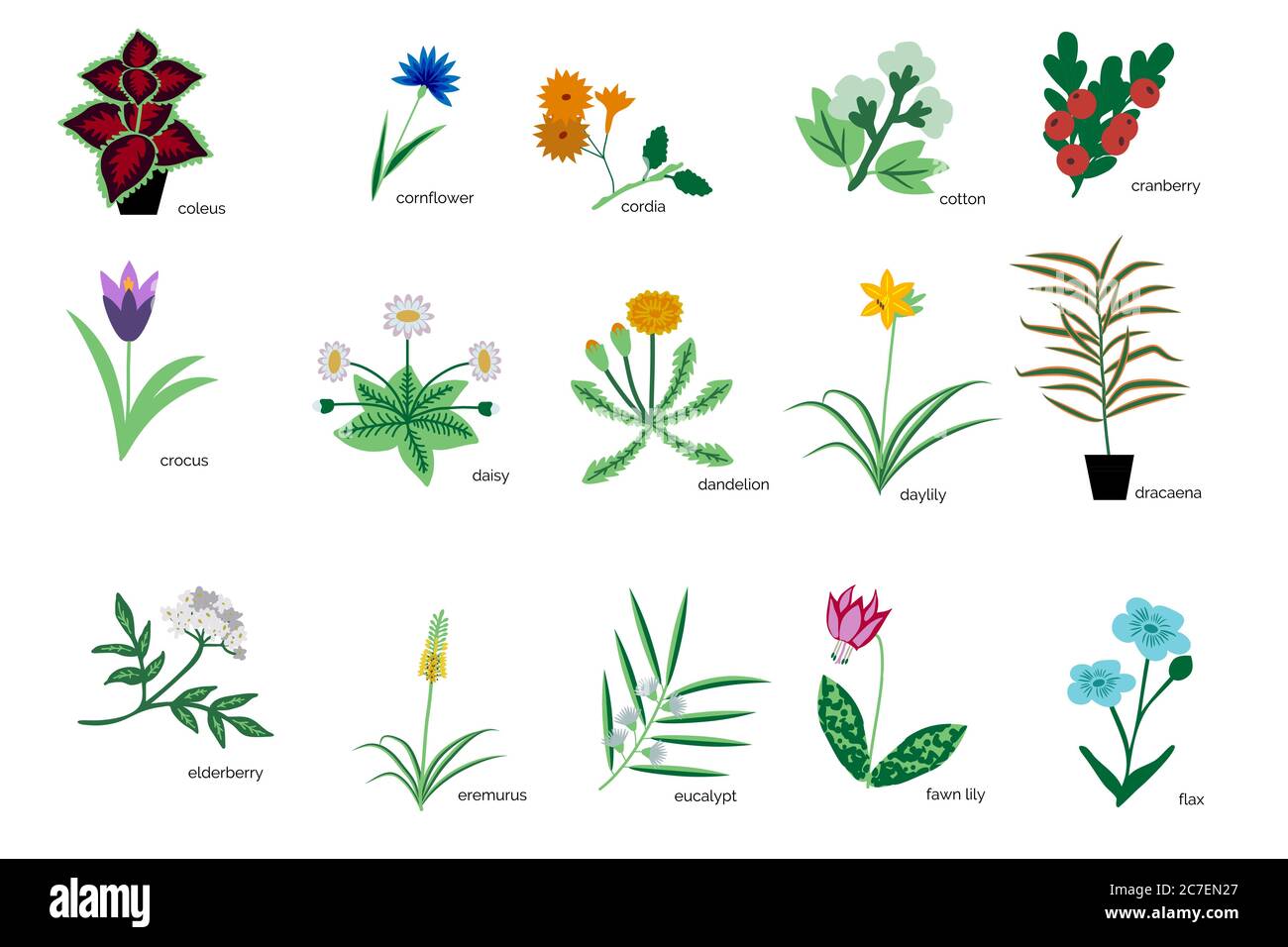 Isolated plants simple icons collection Stock Vector Image & Art - Alamy