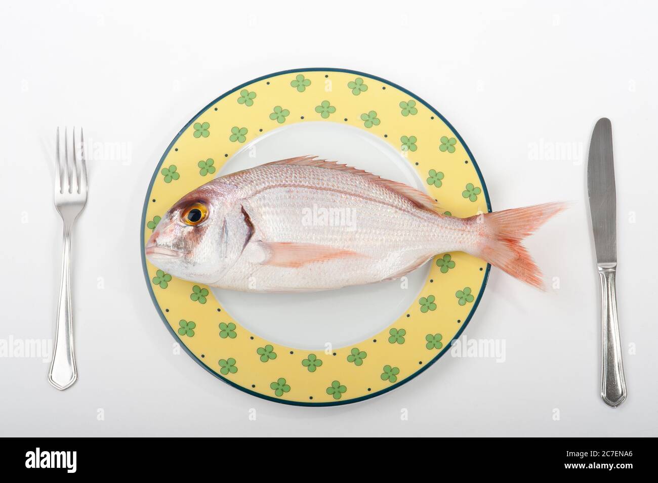 raw red snapper on a plate in white background Stock Photo - Alamy