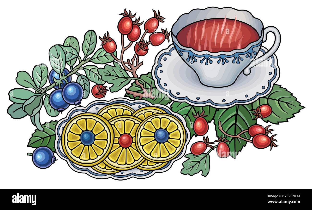 Tea, berries, fruits hand drawn illustration Stock Vector Image & Art ...