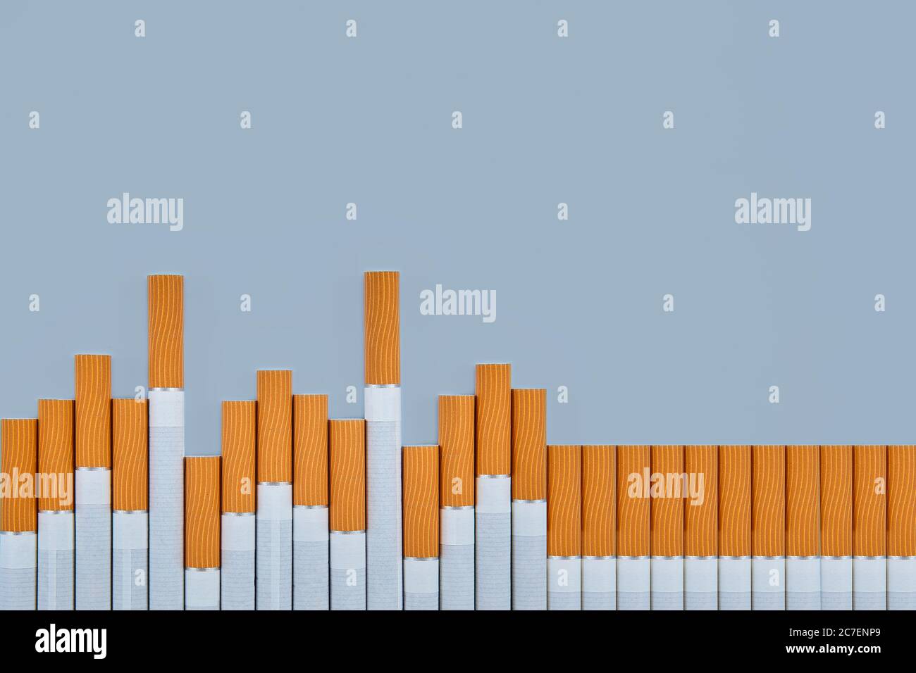 the layout on which the cigarettes are located is made in the form of a ...