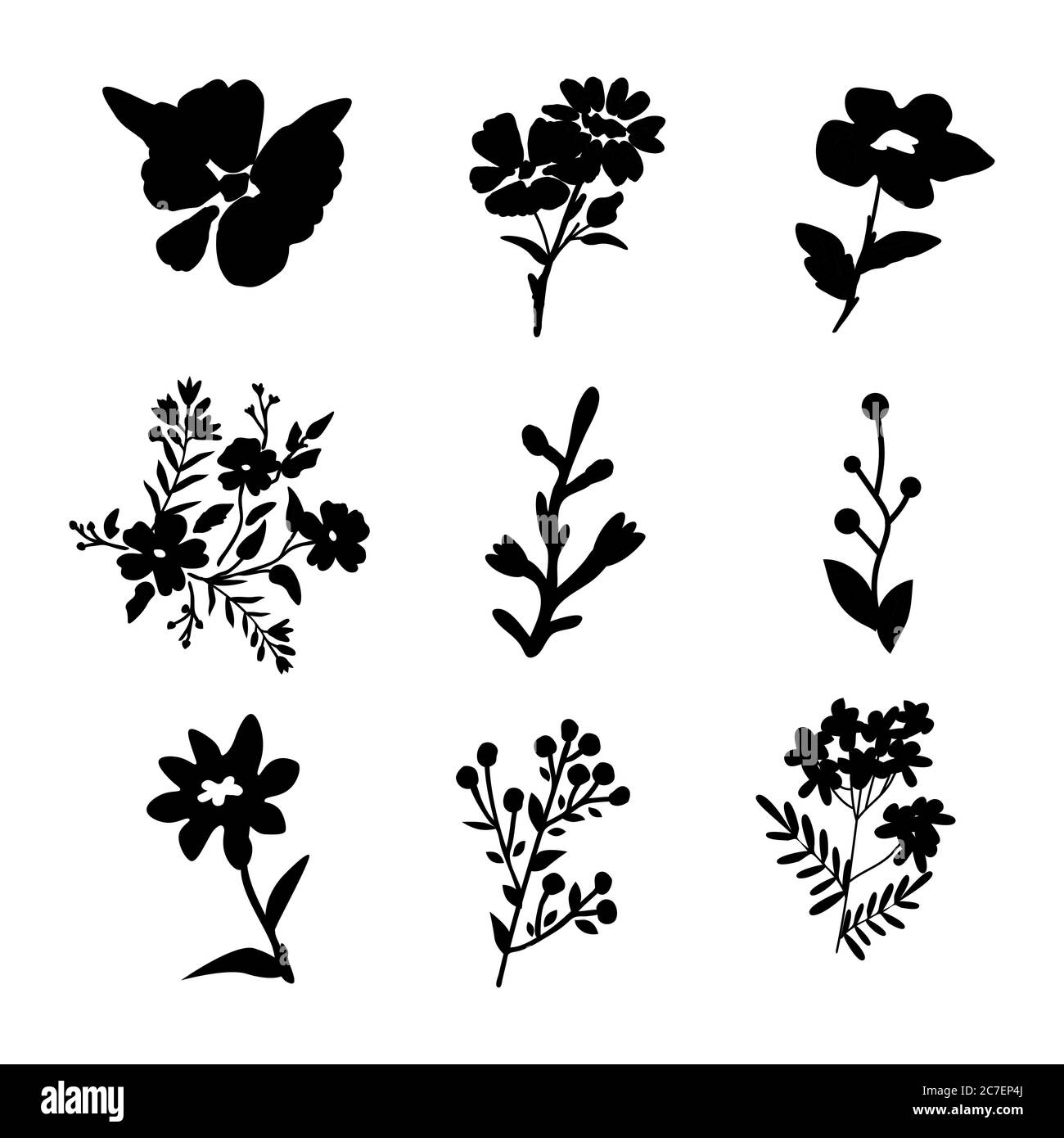Botanica vector vectors Stock Vector Images - Alamy