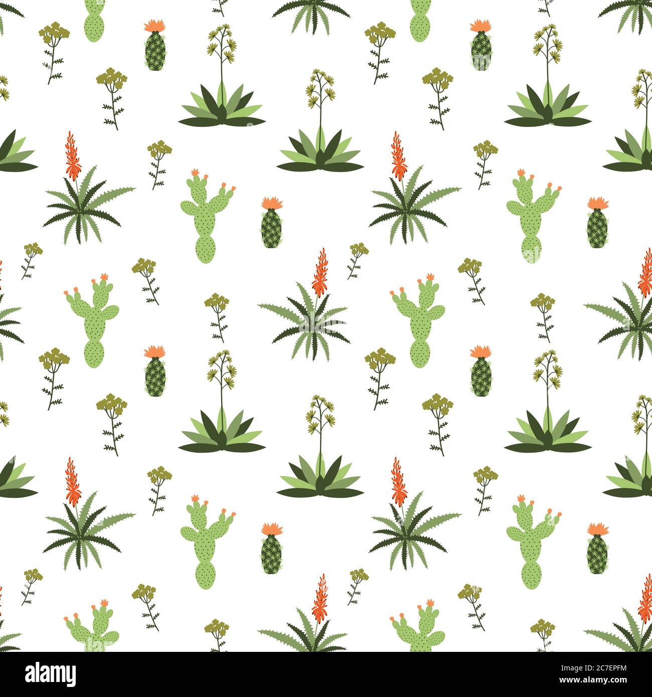 Drought tolerant plants vector pattern Stock Vector Image & Art - Alamy