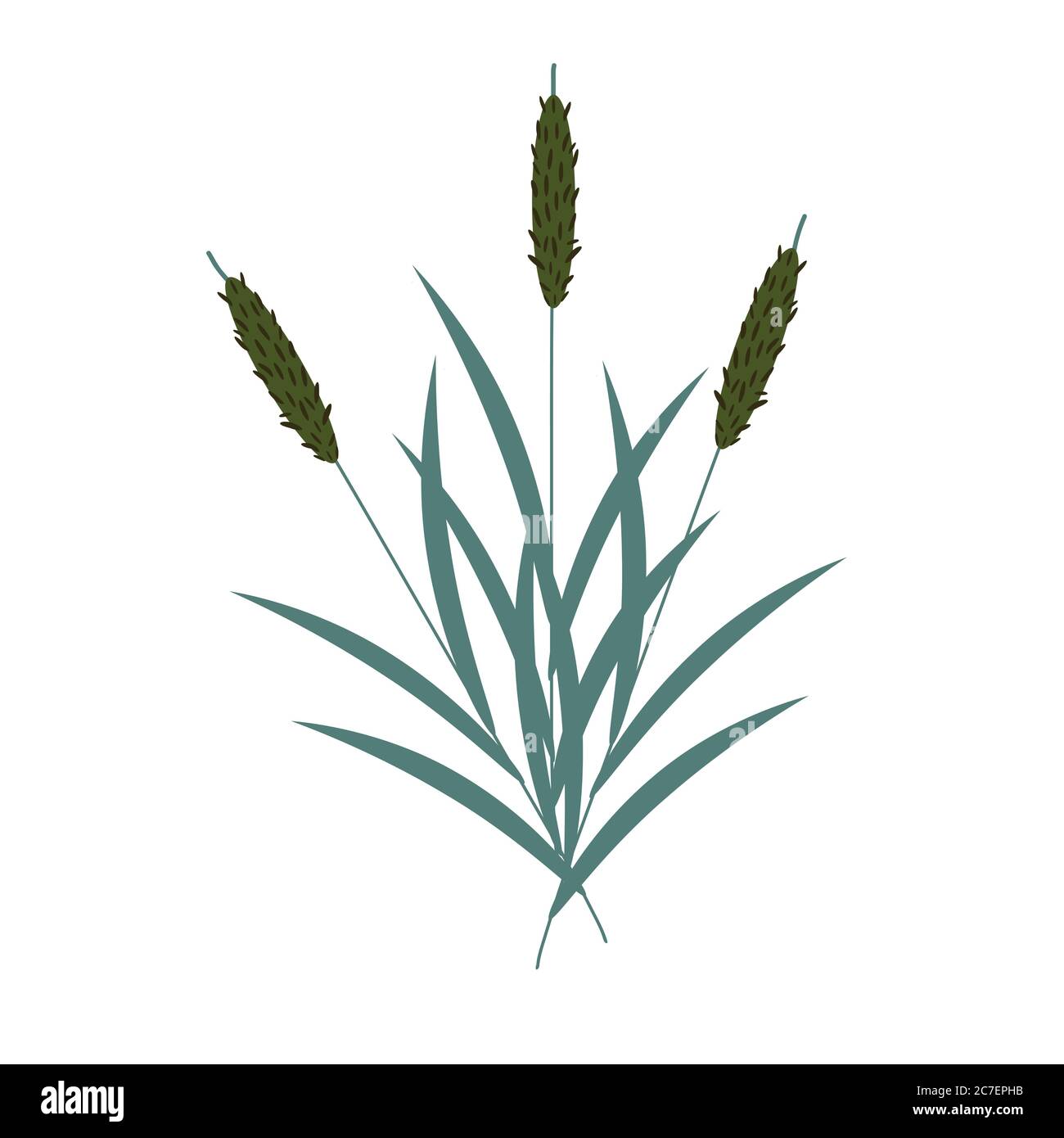 Wetland garden Stock Vector Images - Alamy