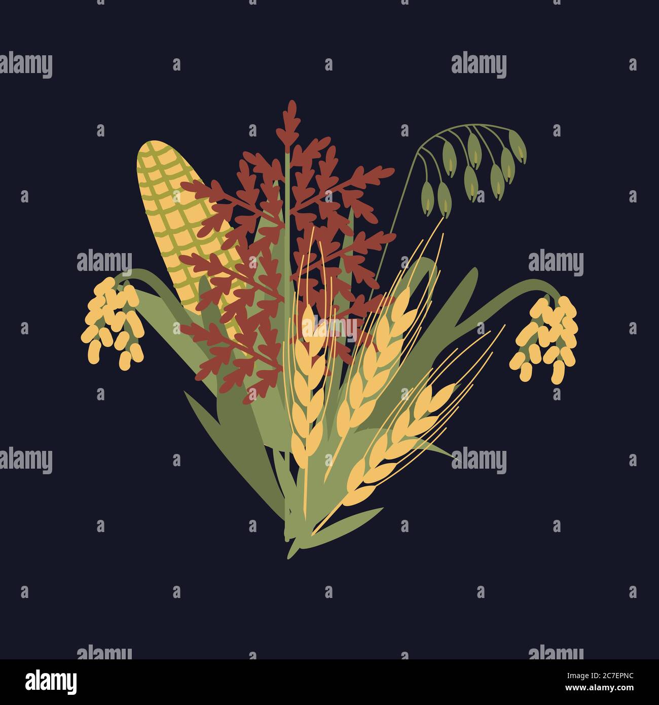 Cereal plants bunch vector illustration Stock Vector Image & Art - Alamy