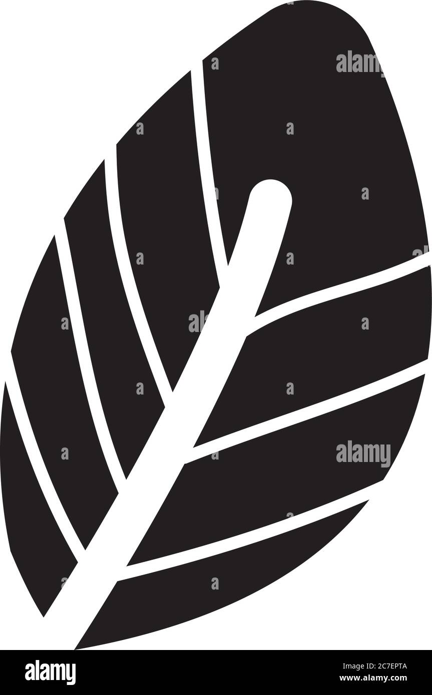 abstract leaves concept, cherry leaf with striped design over white ...