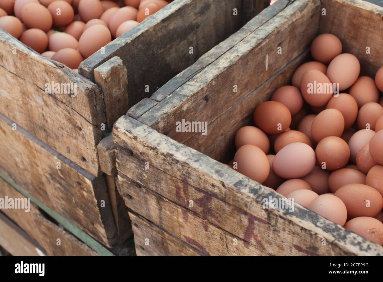 Broken nest box hi-res stock photography and images - Alamy