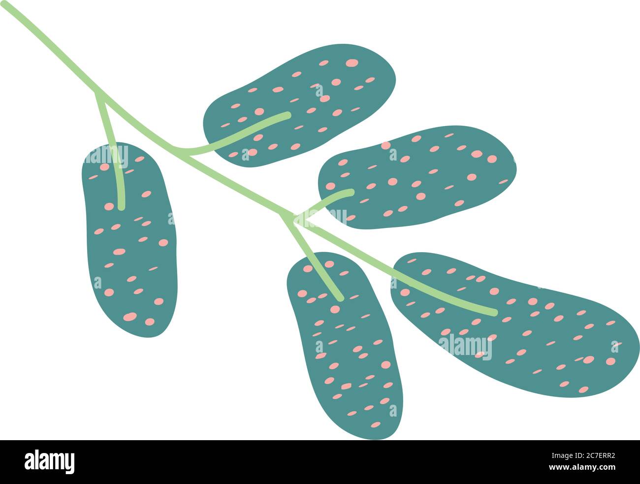 abstract tropical sage leaf icon over white background, flat style ...