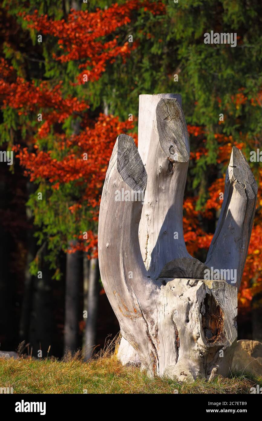 Root forms hi-res stock photography and images - Alamy