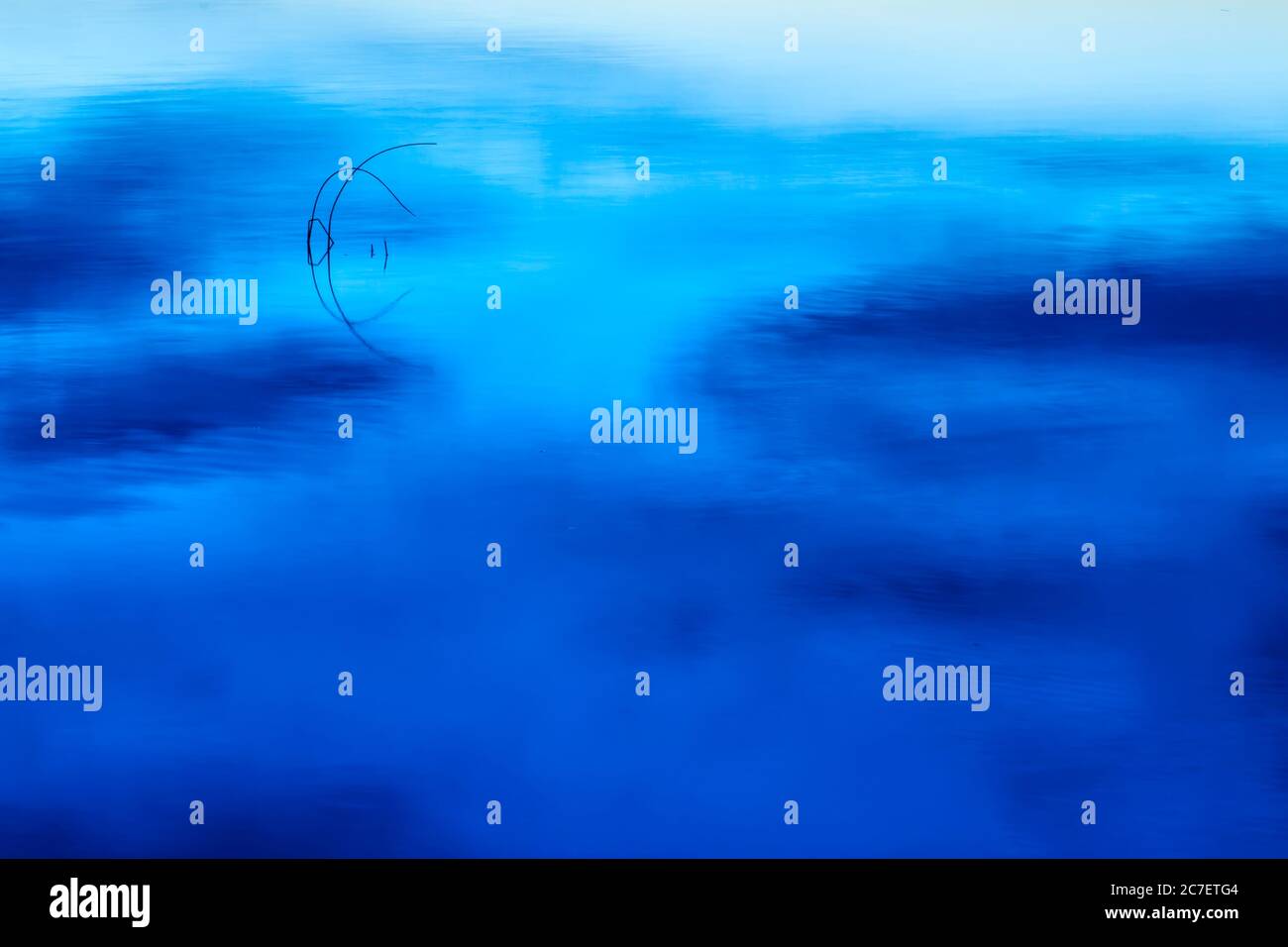 Colorful nature. Abstract water nature background. Plants and ...