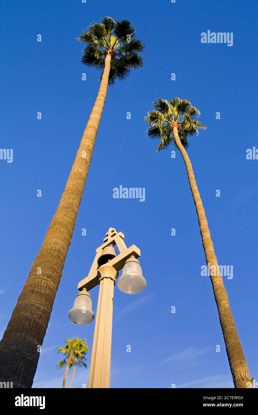 Street light & palm trees in downtown Riverside, California, USA, North ...