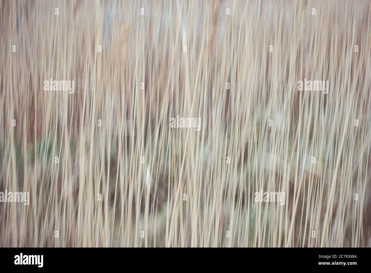 Beautiful background image with unique textures Stock Photo - Alamy