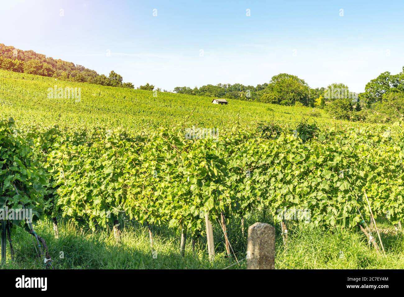 Vienna austria stunning blue hi-res stock photography and images - Alamy