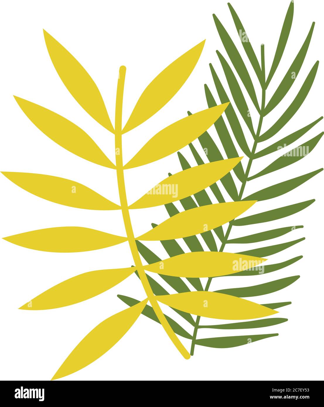 branches leaves foliage botanical cartoon isolated design icon vector ...