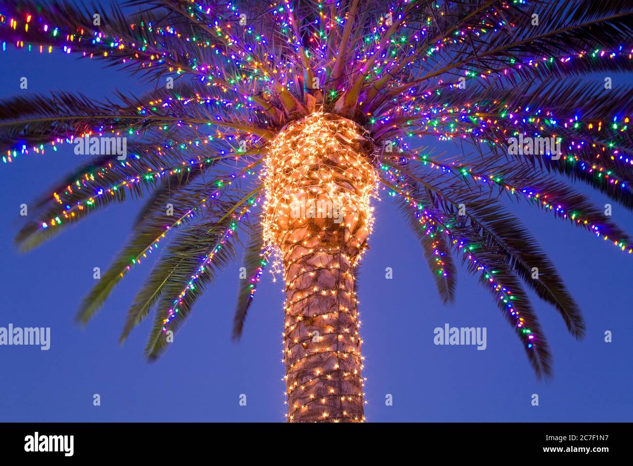 Christmas lights at South Coast Winery, Temecula Valley wine country ...