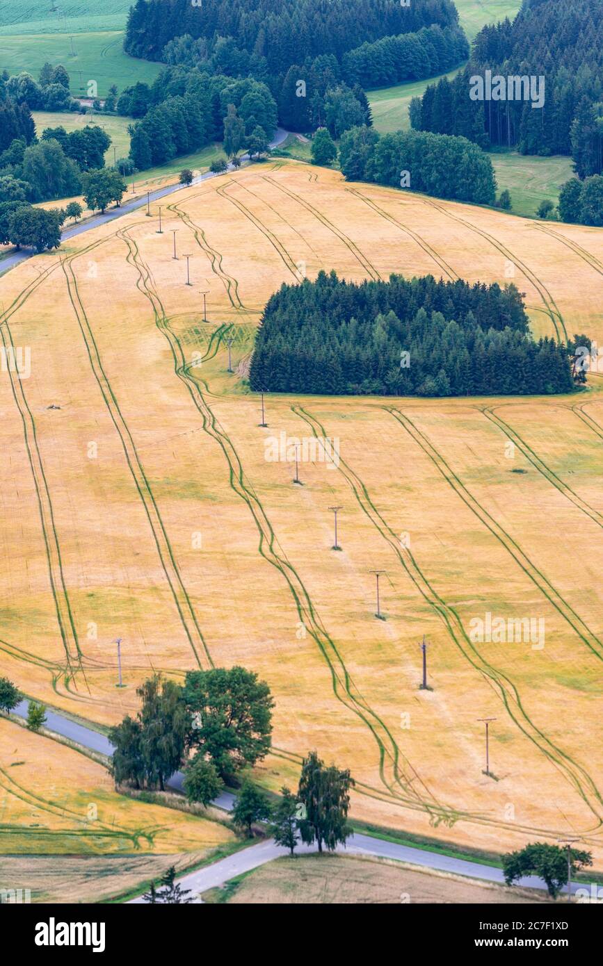 Vertical shot of yellow grass field with powerlines on it. Perfect for ...