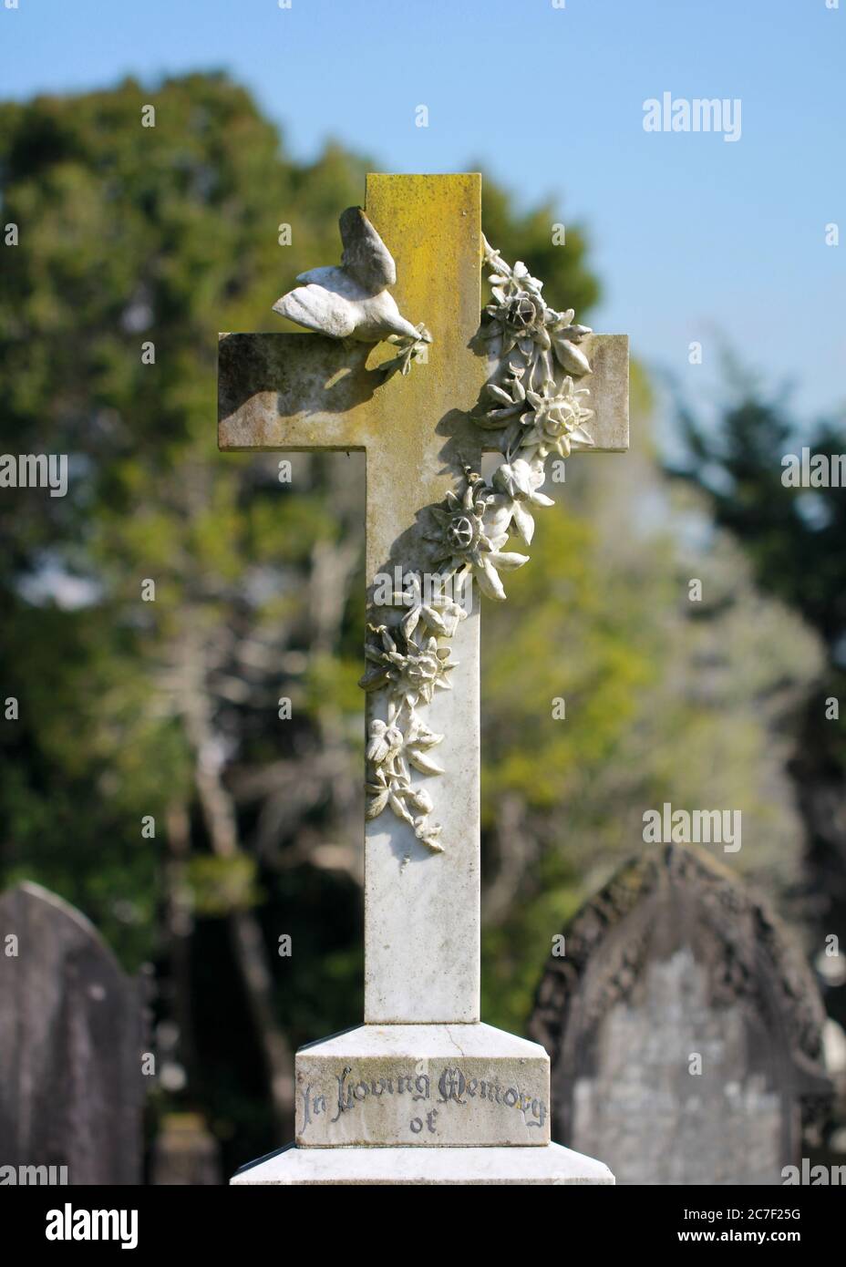 Vertical shot of a concrete cross tombstone carved "In loving memory ...