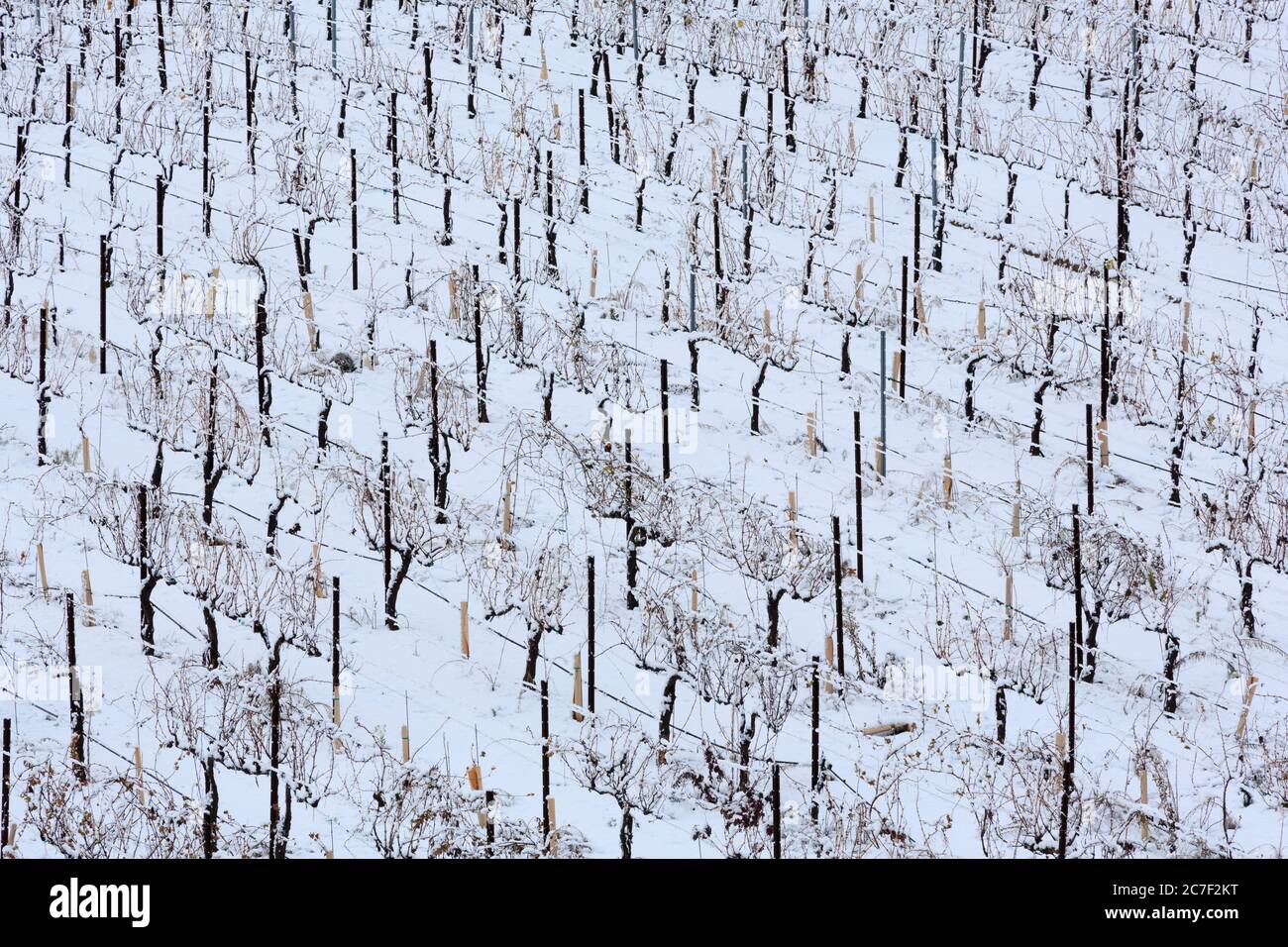 Churon winery hi-res stock photography and images - Alamy