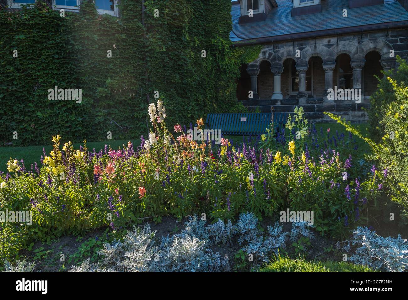 Historic buildings in Downtown Toronto, Canada Stock Photo - Alamy