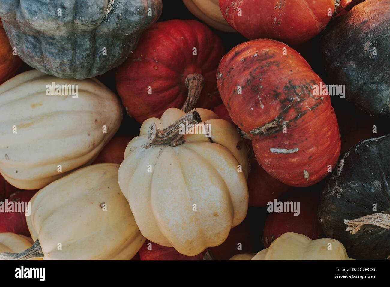 Small pumpkins in dry hi-res stock photography and images - Alamy