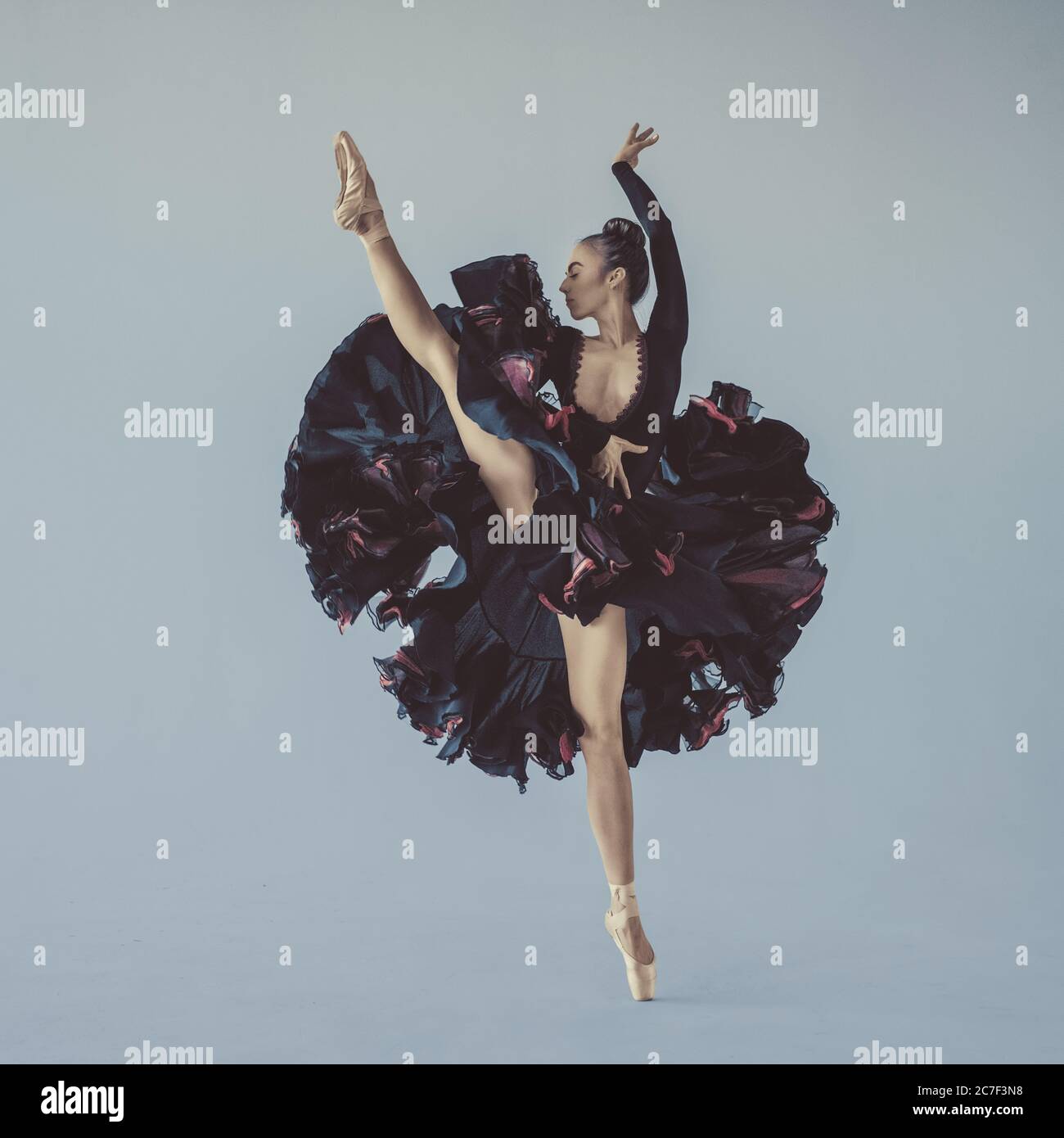 elegant ballet dancer Stock Photo - Alamy