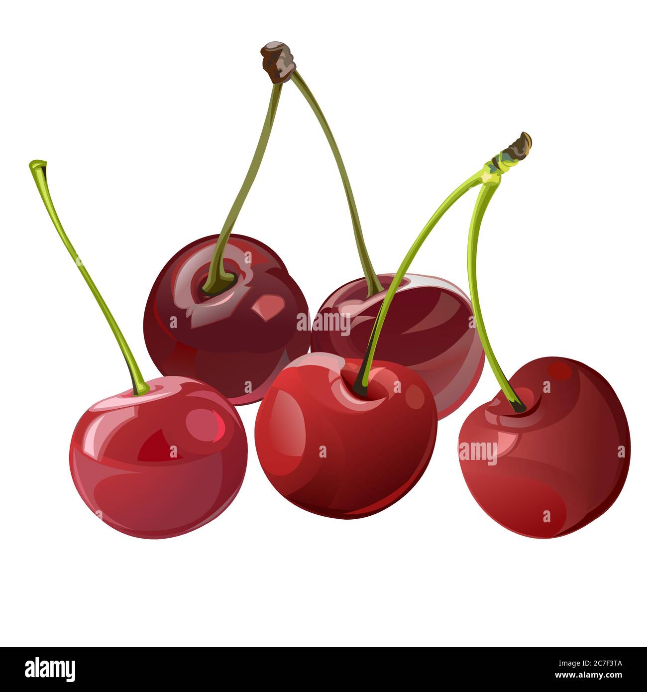 Cherry. Vector. Sweet and sour. Red. Garden fruits. Berry. Fresh, drink ...