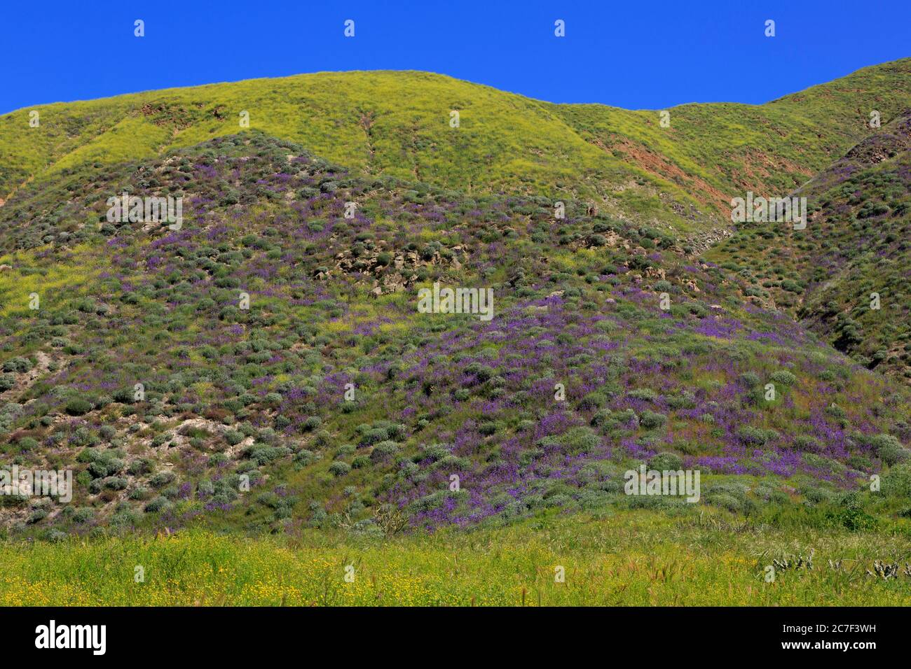 Riverside mountains hi-res stock photography and images - Alamy