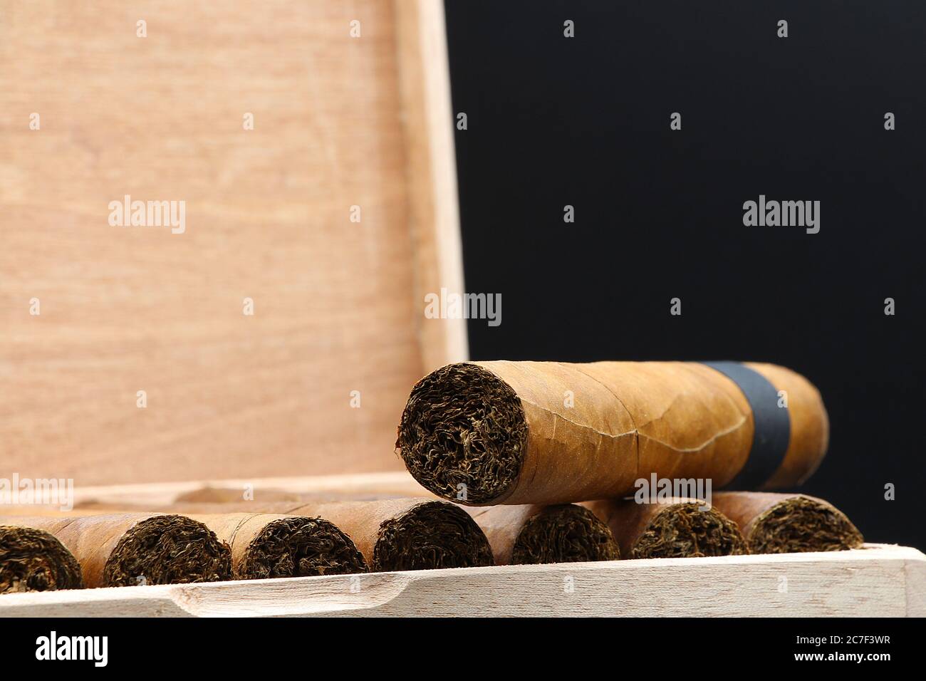 Robusto cigar with light wrapper and black ring on cigar box with black ...