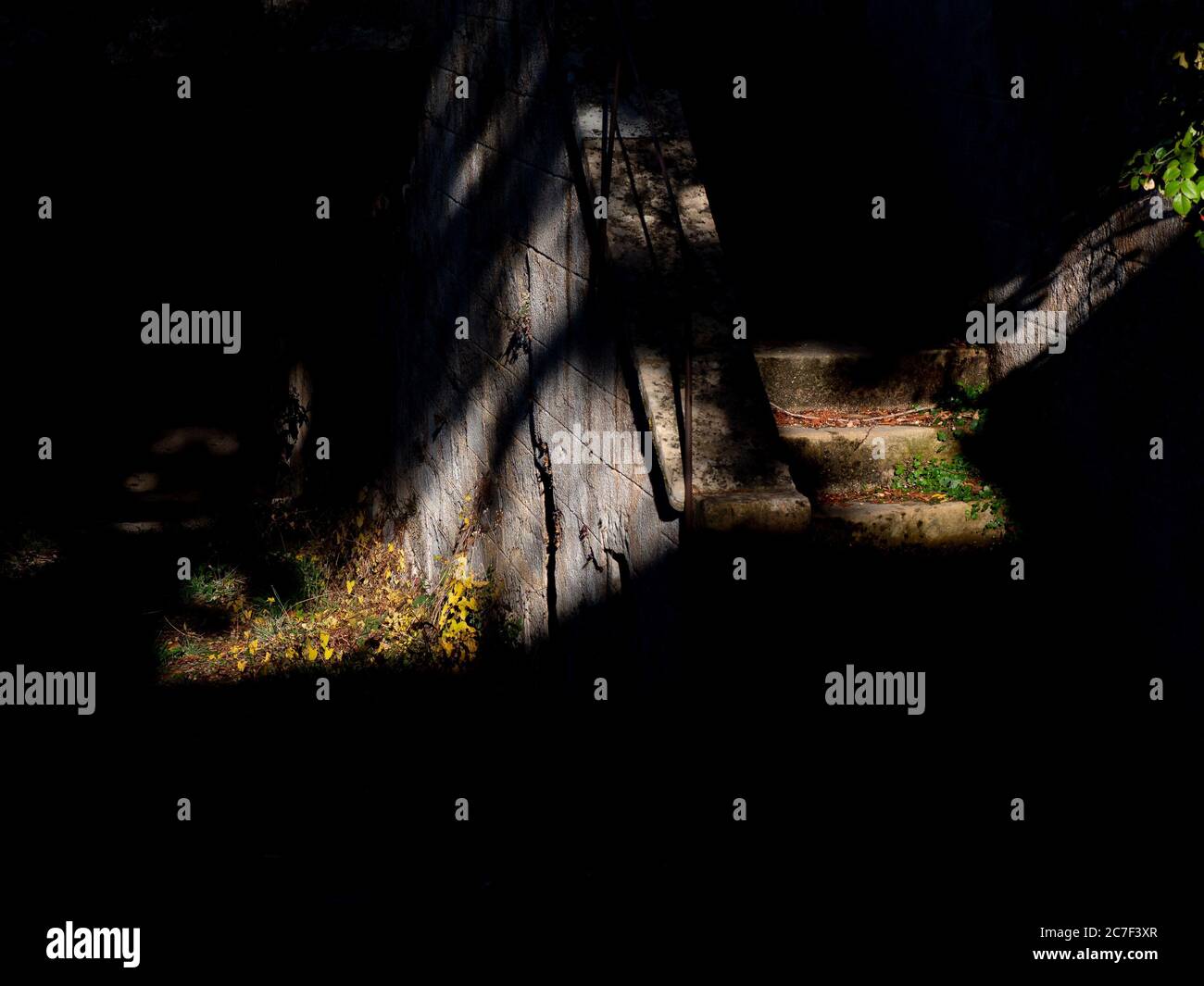 Shadows cast over wall hi-res stock photography and images - Alamy