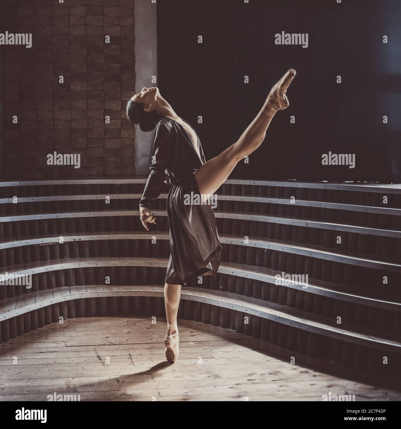 elegant ballet dancer Stock Photo - Alamy