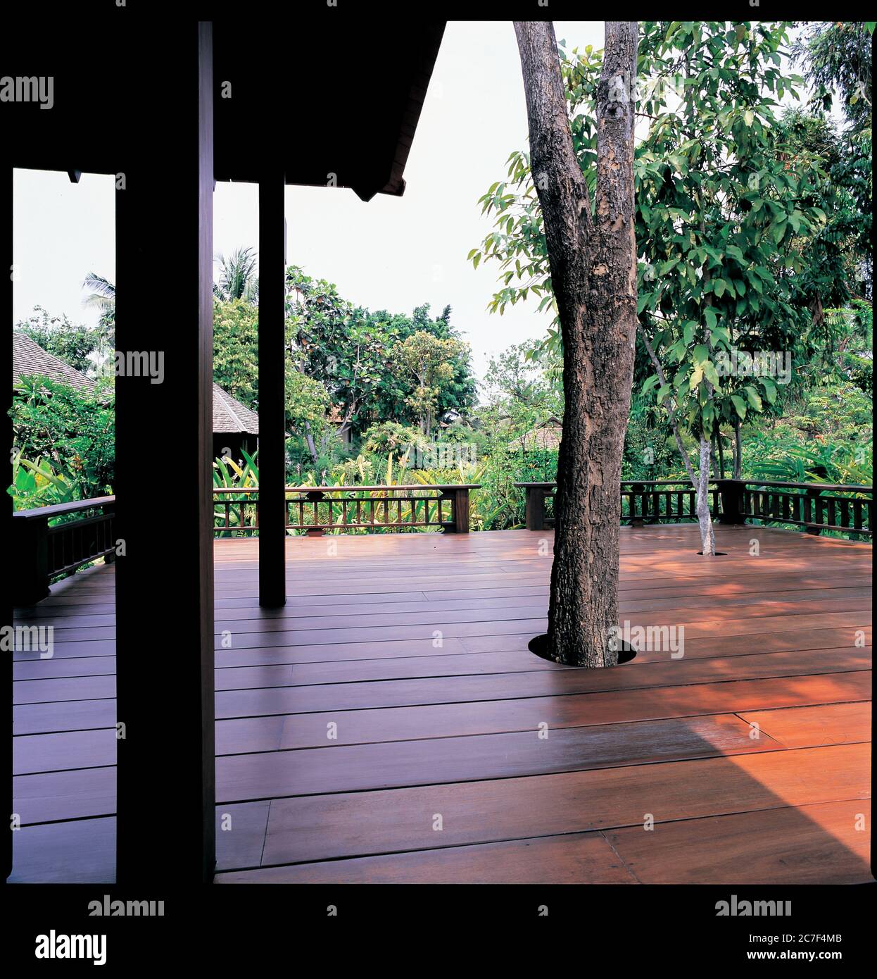 The trees in the middle of the terrace of the house Stock Photo - Alamy