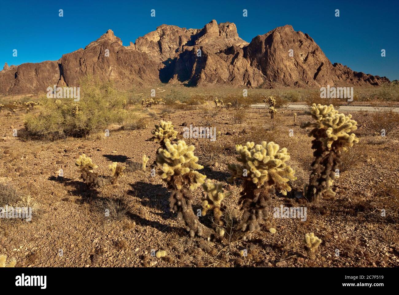 Kofa mountains hi-res stock photography and images - Alamy