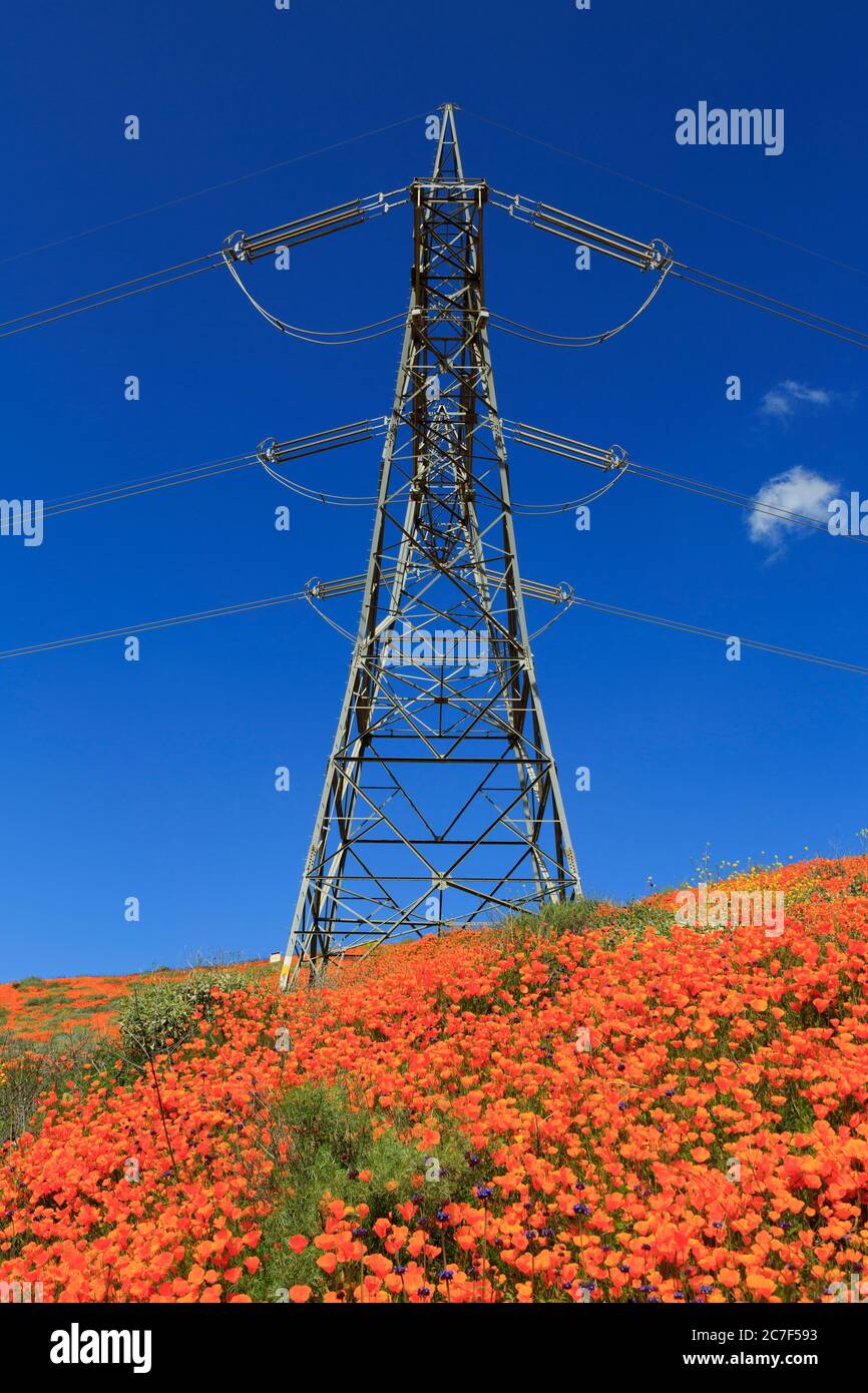 Electricity pylon usa hi-res stock photography and images - Alamy