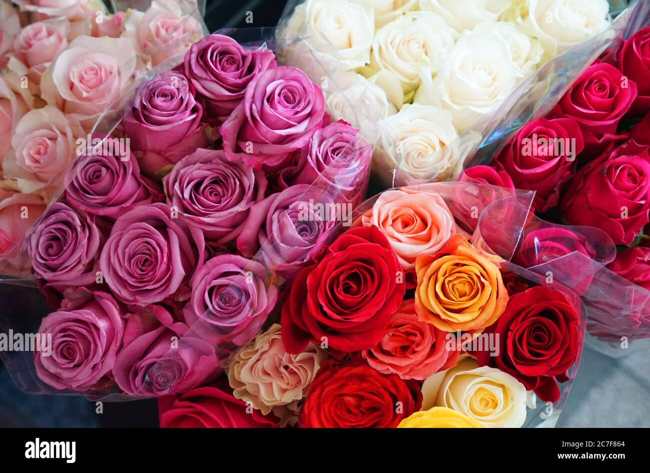 bouquets of rose flowers with different color Stock Photo - Alamy