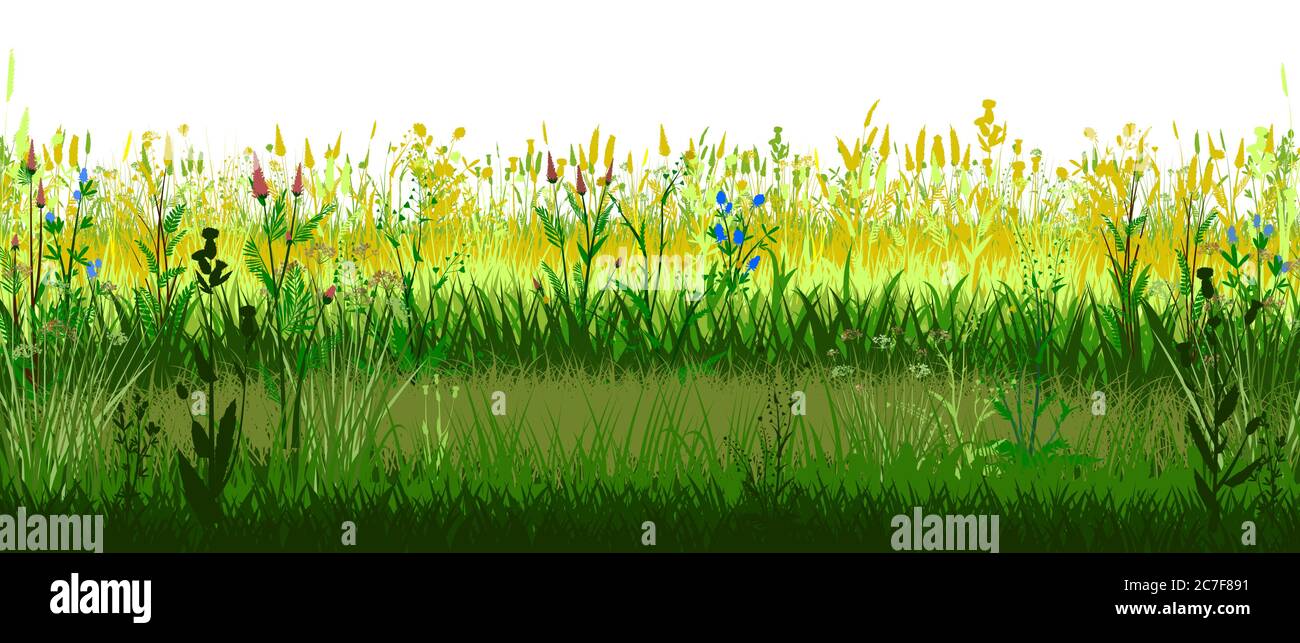 Bottom relief Stock Vector Images - Alamy