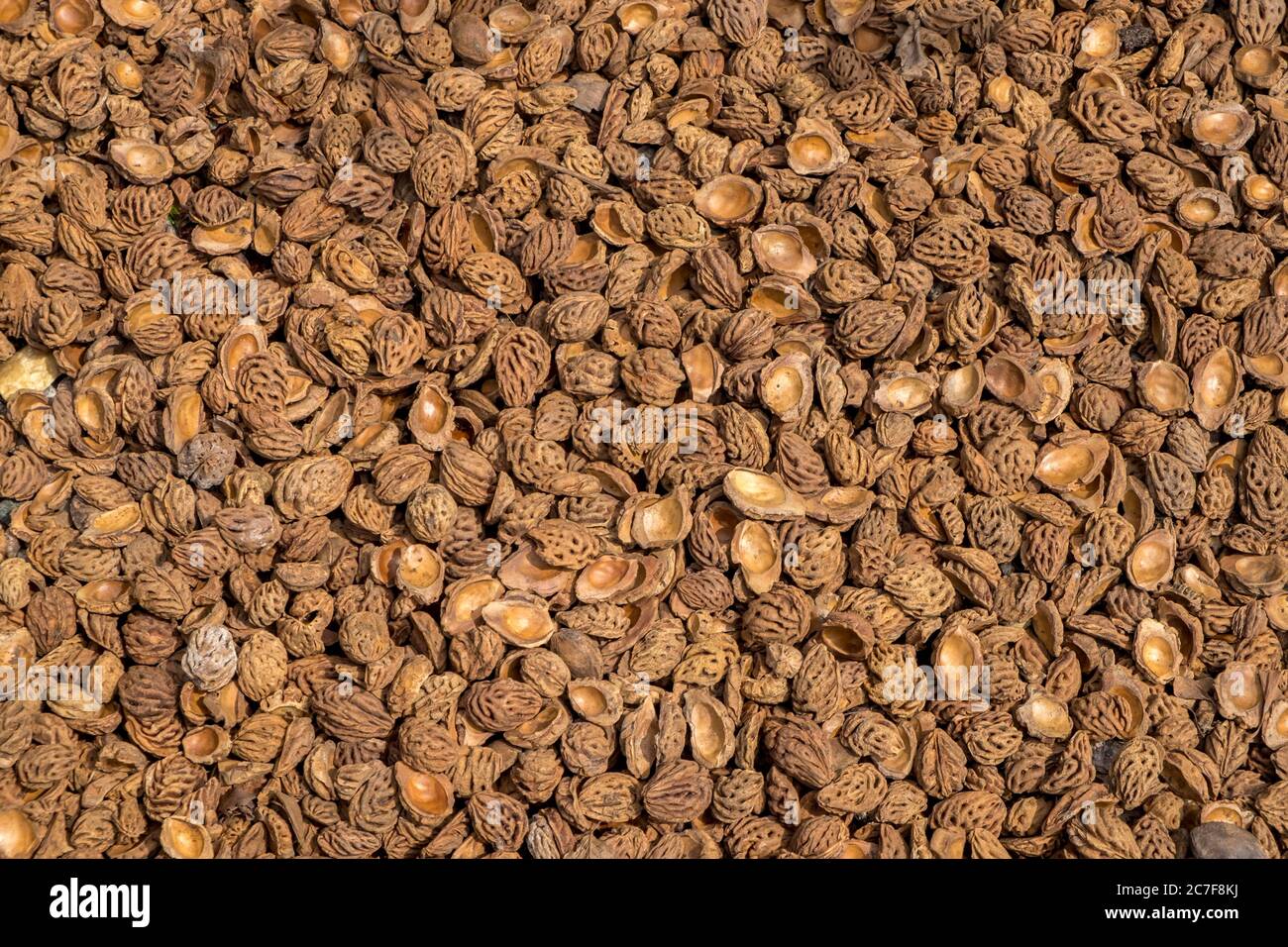 Peach stone granulate hi-res stock photography and images - Alamy