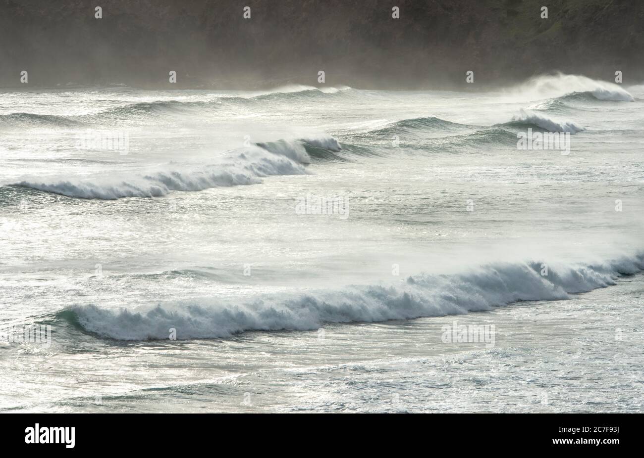 Strong swell, waves breaking on the sea, Sandfly Bay, Dunedin, Otago ...